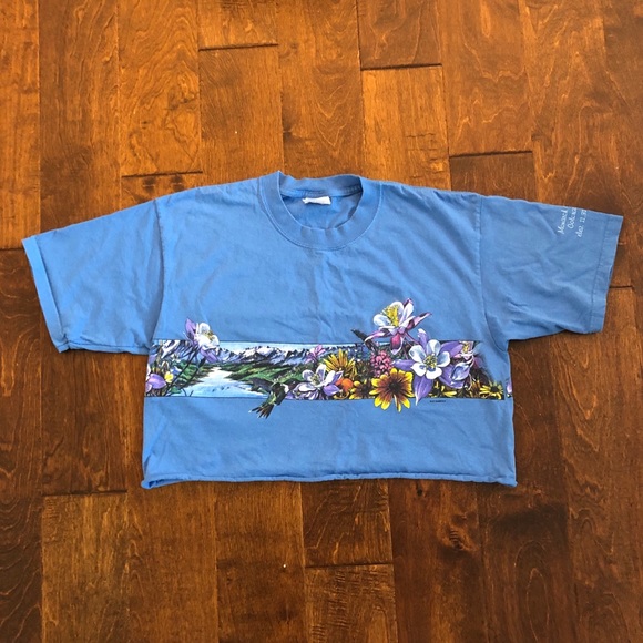 Tops | Vintage Cropped Tee | Poshmark